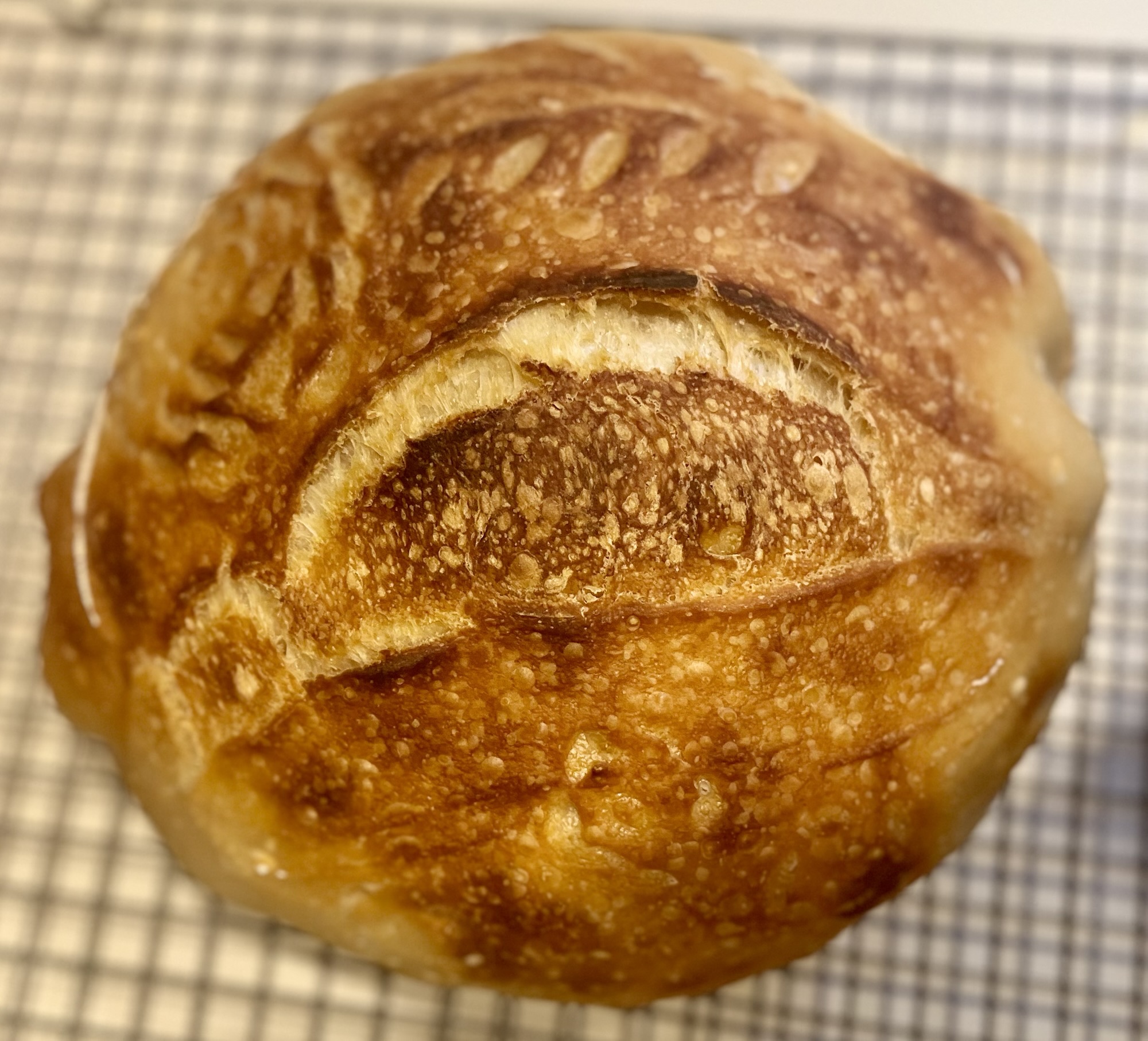 Sourdough – WriteRN Ramblings